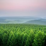 Global Warming – A Good Thing? – Baffled by Science